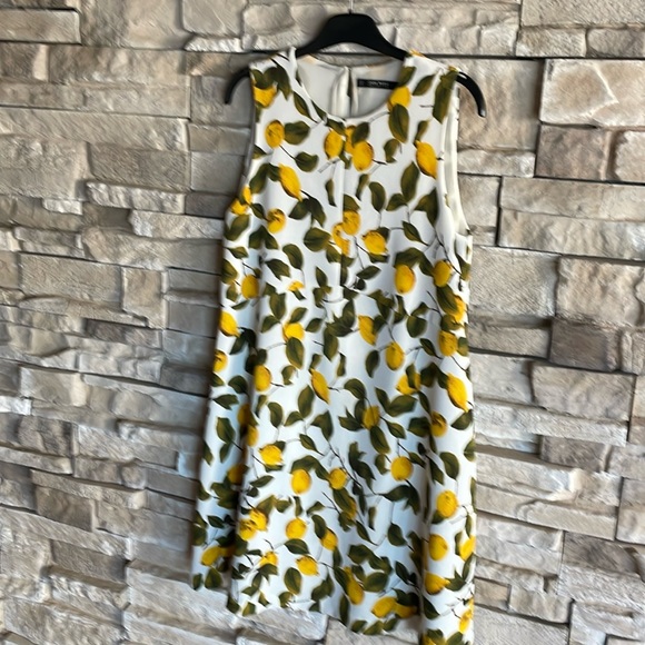 Zara | Dresses | Zara Lemon Dress | Poshmark